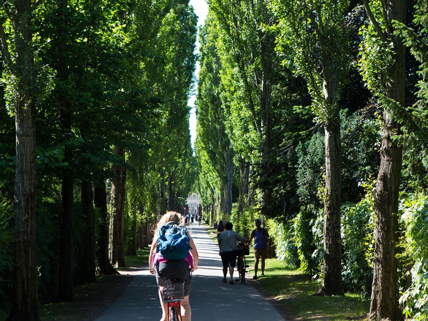 Copenhagen Urban Development | Urban Development